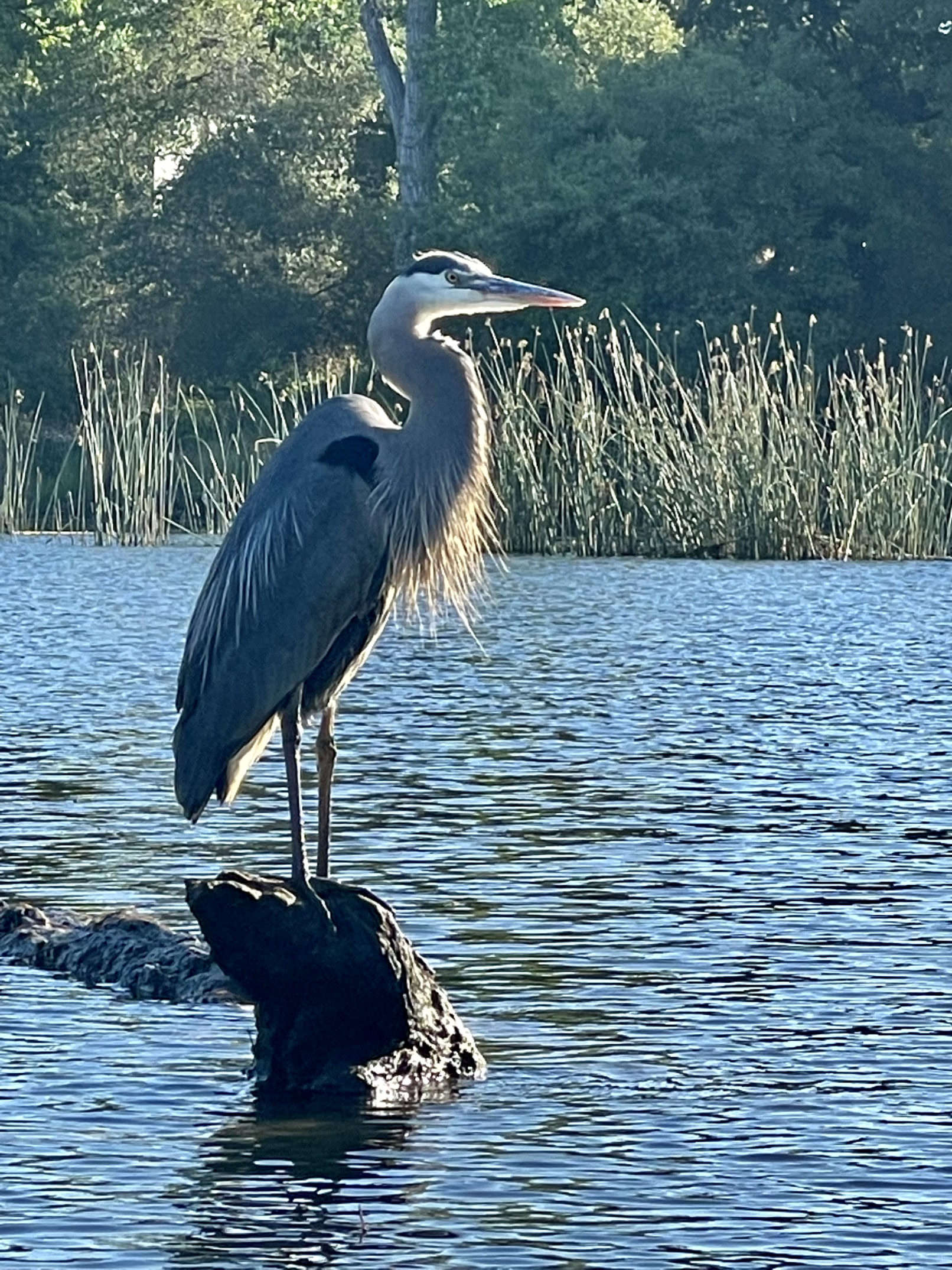 Slow down and paddle – Stephanie Taylor: Artist/Writer